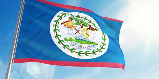 Belize Customs Form & Entry Requirements 2026: Online Declaration Guide ...